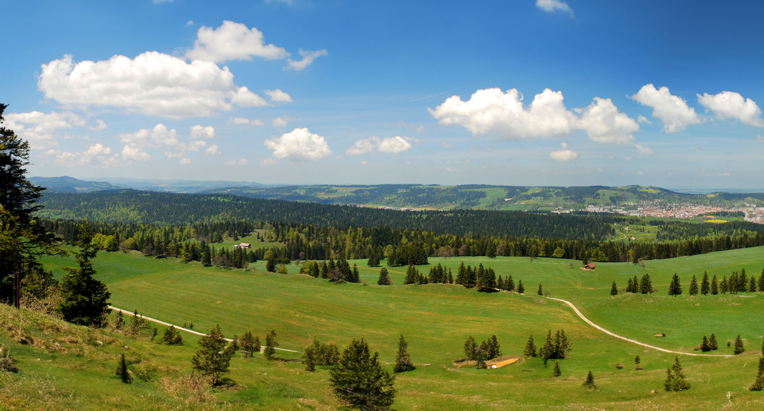 L'entreprise | Viteos